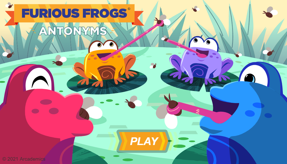 Furious Frogs - Arcademics